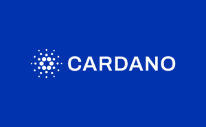 The Hidden Message of Cardano Logo & PNG - Mrvian